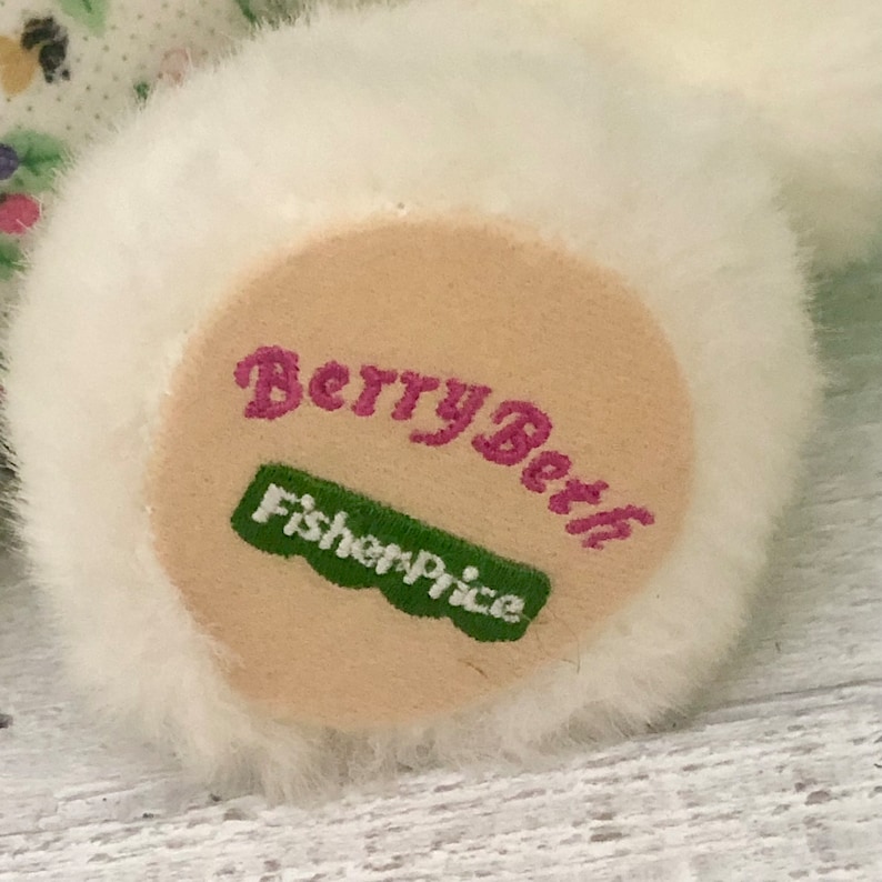1998 Fisher Price Berry Beth Briarberry Plushie - Etsy