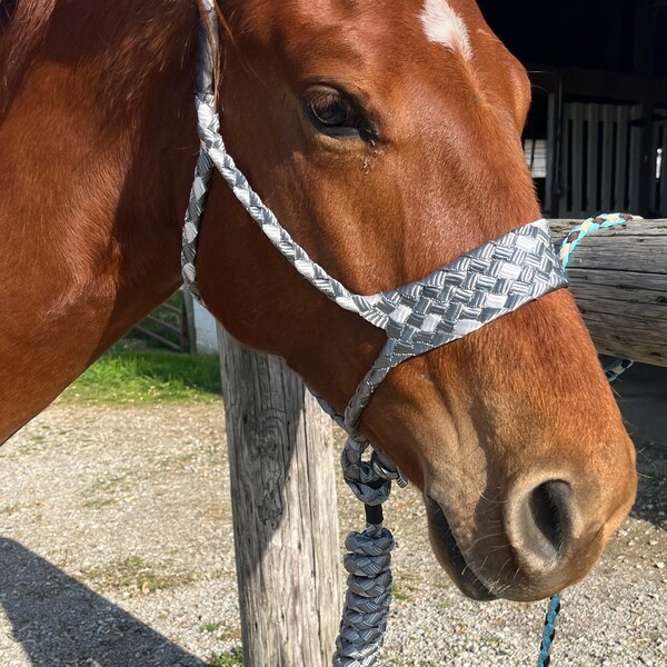 Mule Tape Halter - Etsy