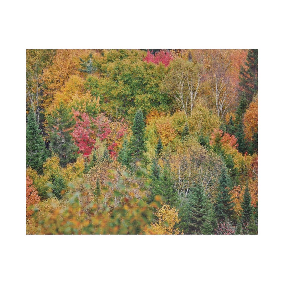 Autumn Forest Jigsaw Puzzle, Fall Decor, Family Fun, Gift for Nature ...