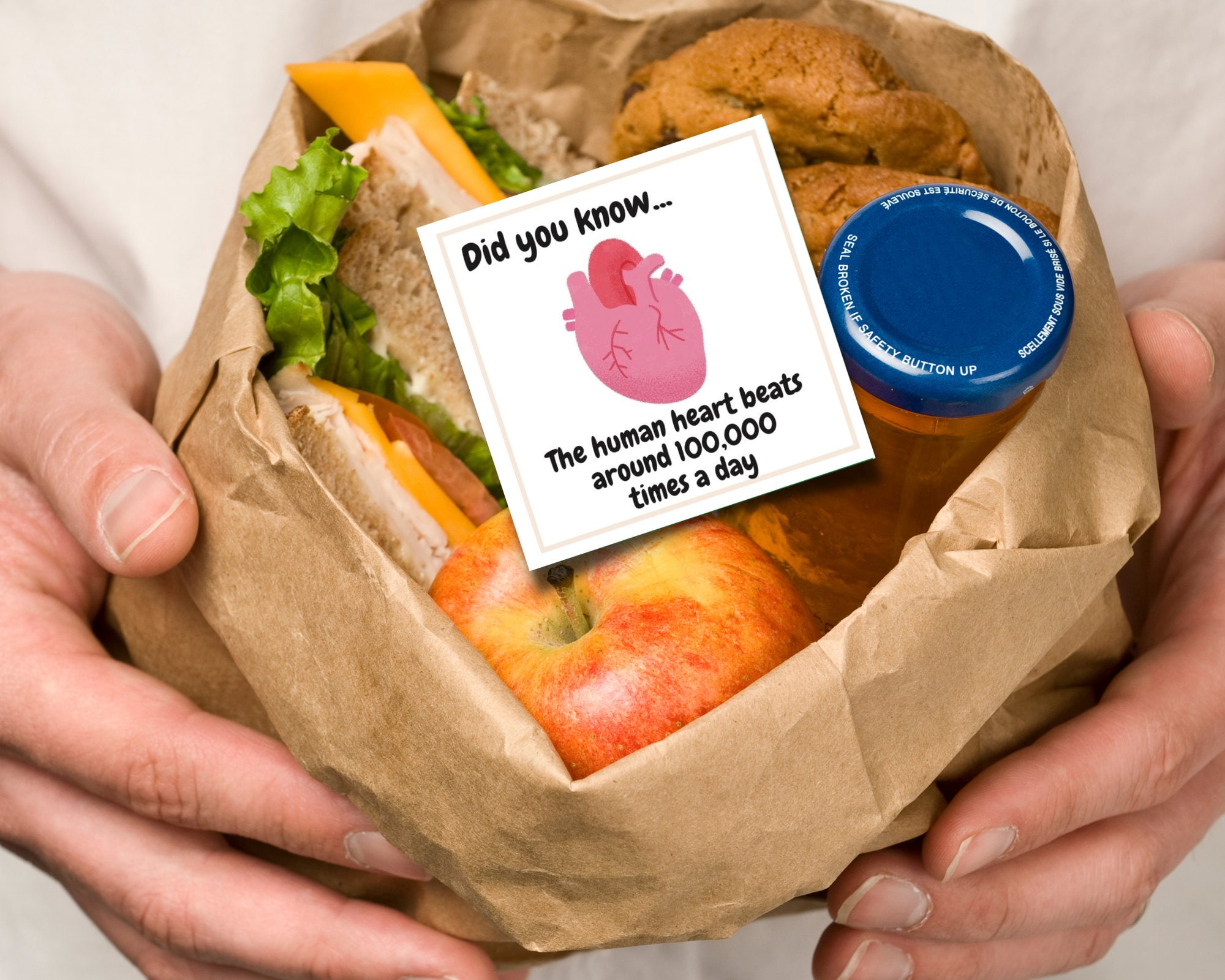 Kids Printable Lunchbox Notes Printable Lunch Box Notes Lunch Box Jokes ...