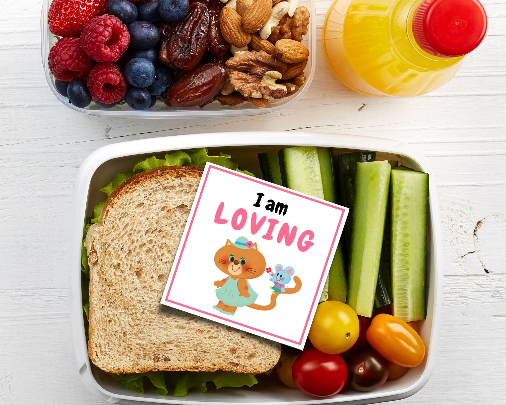 Kids Printable Lunchbox Notes Printable Lunch Box Notes Lunch Box Jokes ...
