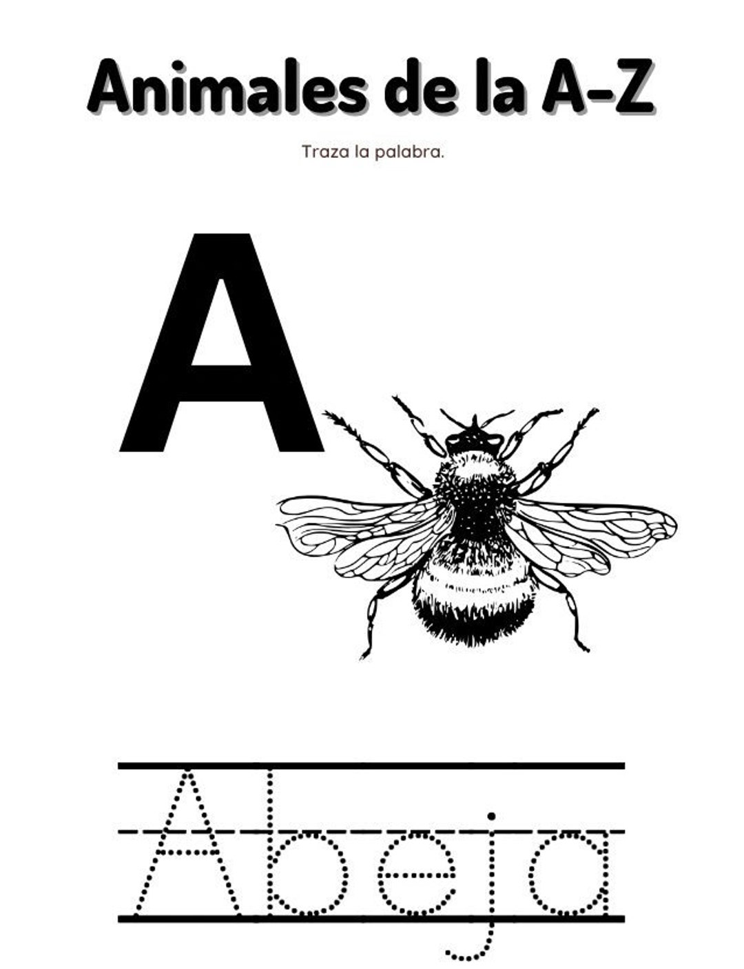 Traza Las Palabras - Etsy