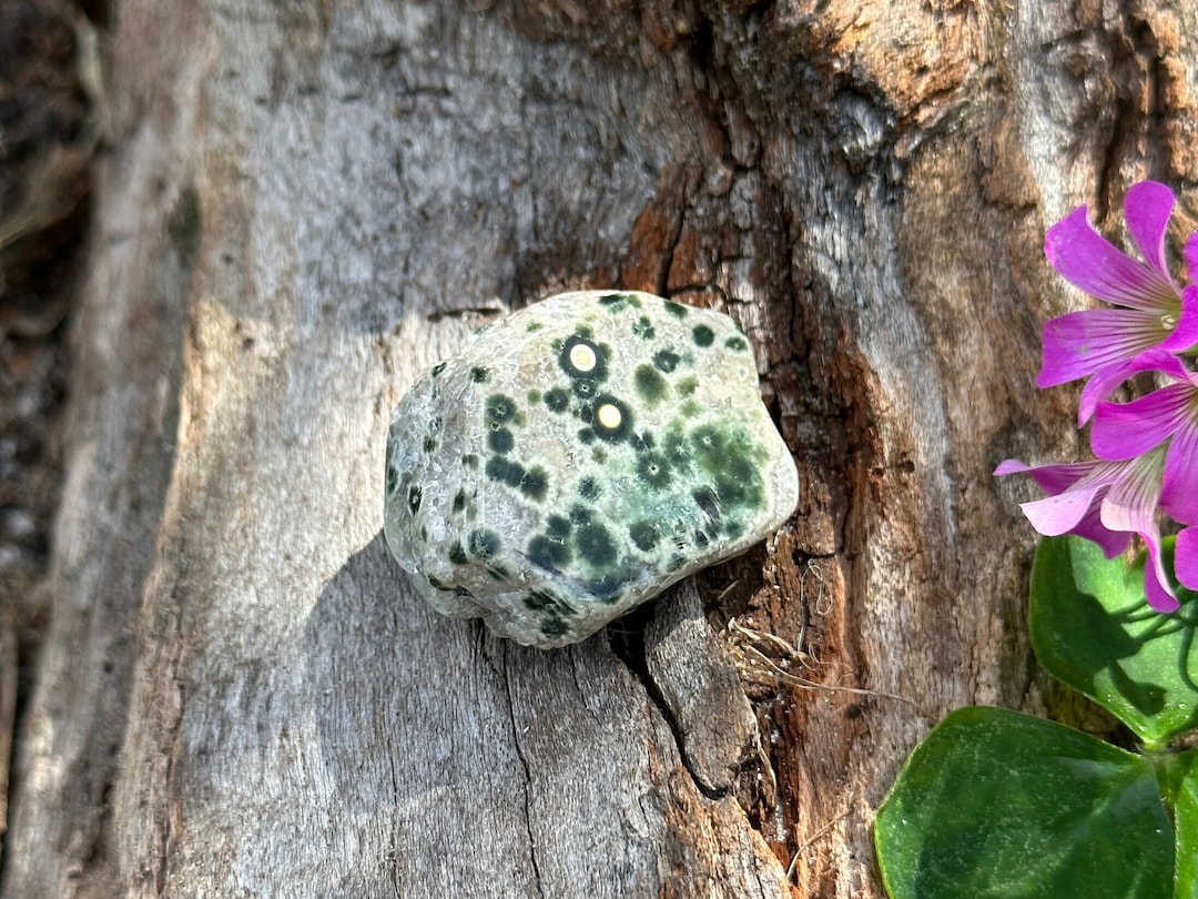 Orbicular Jasper Freeform - Etsy