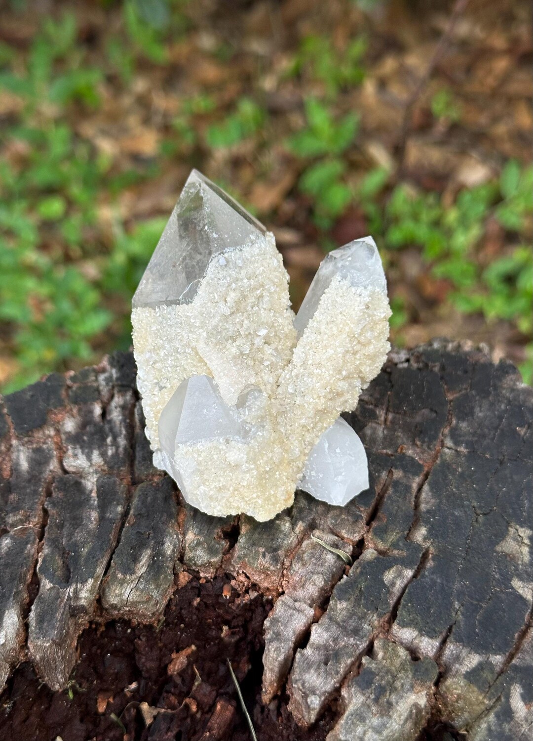 Dolomite Quartz Point Cluster - Etsy
