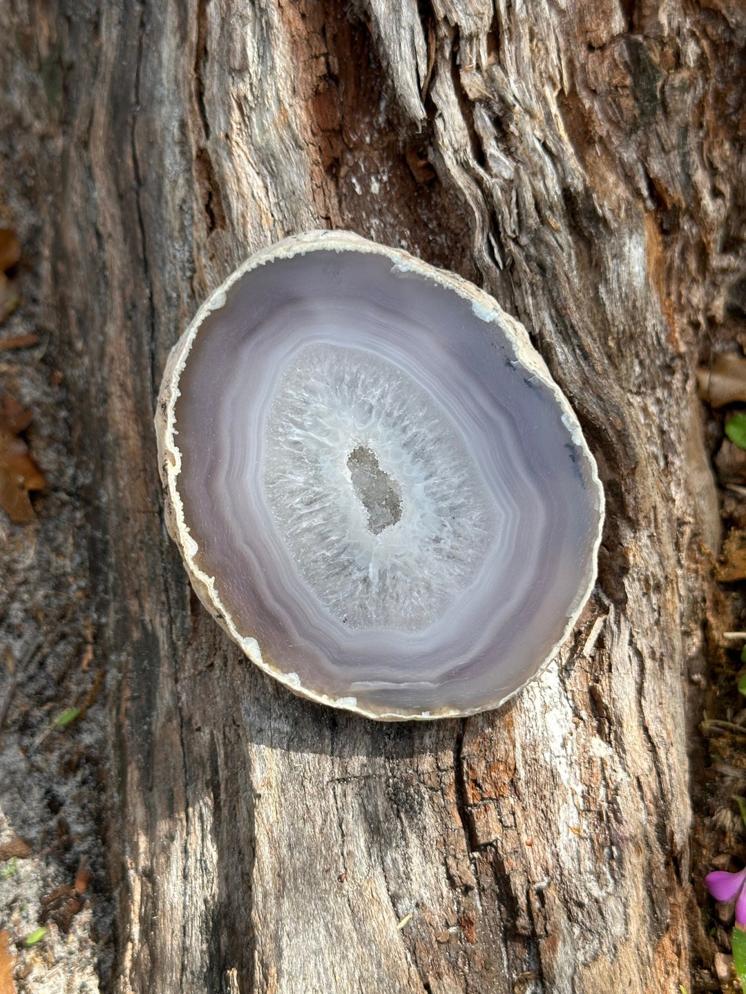 Druzy Agate Geode Slice - Etsy