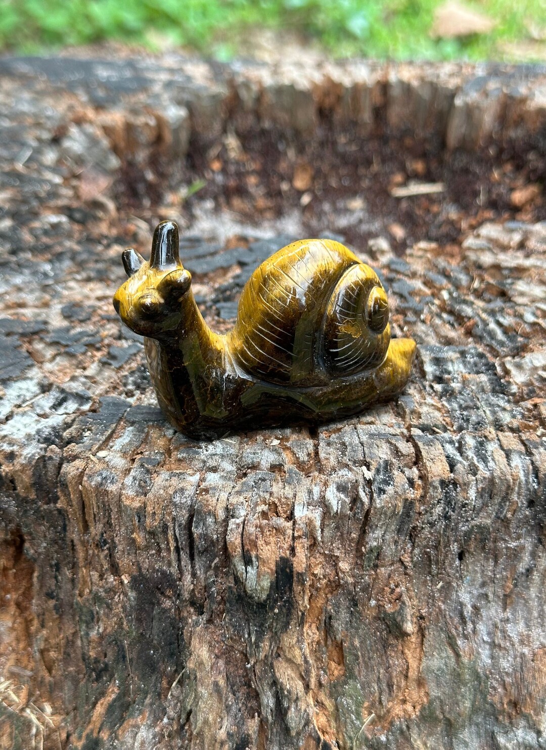 Tiger’s Eye Snail Carving - Etsy