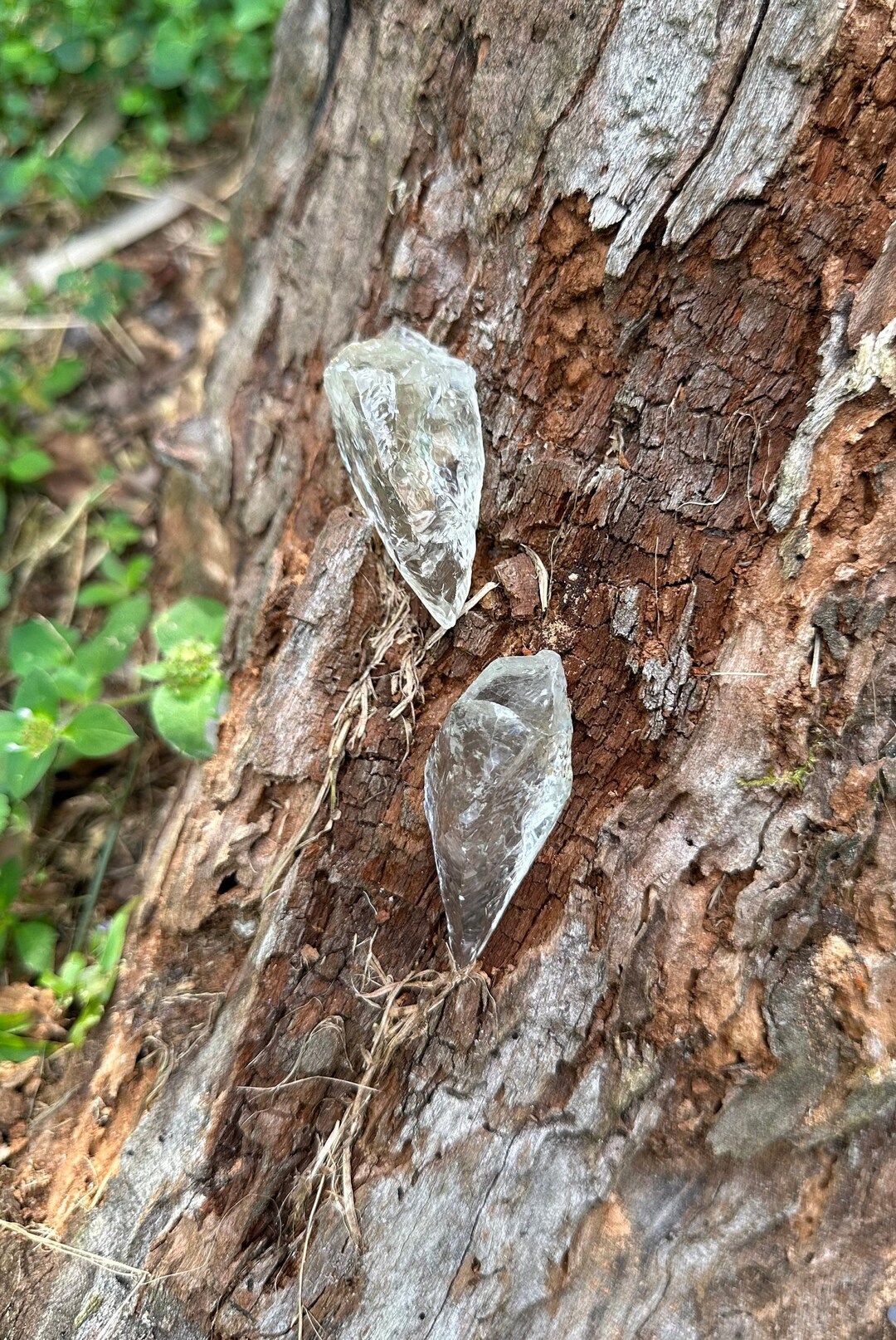 Skeletal Honey Calcite Point - Etsy