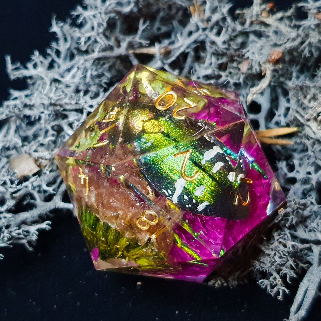 Amaranth Rose Chafer Handmade D20, 35mm - Etsy