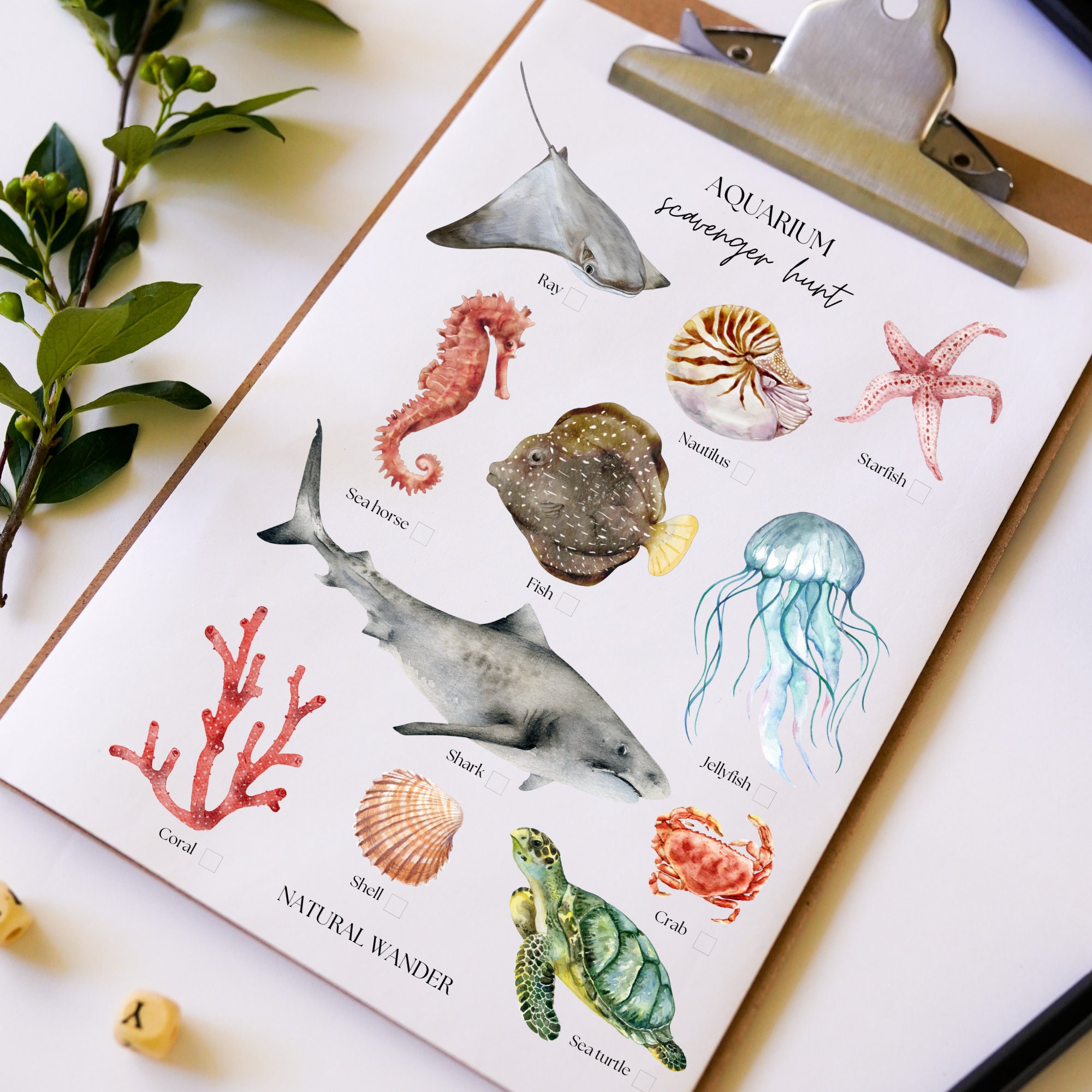 Aquarium Scavenger Hunt for Field Trip - Etsy