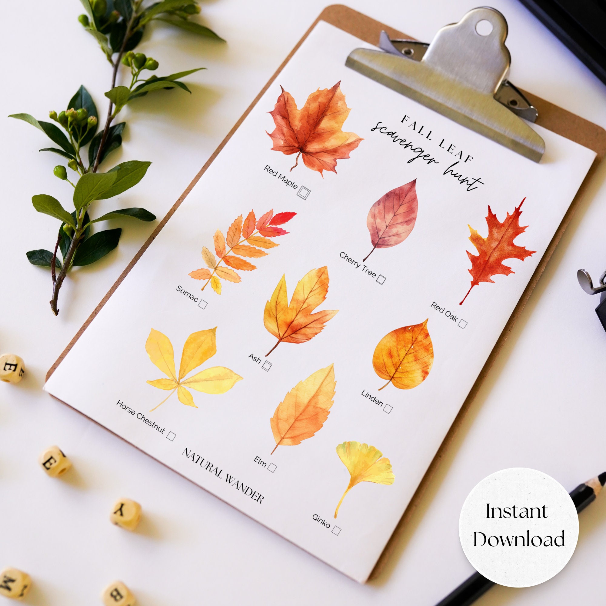 Fall Leaf, Printable, Instant Download, Scavenger Hunt, Homeschool ...