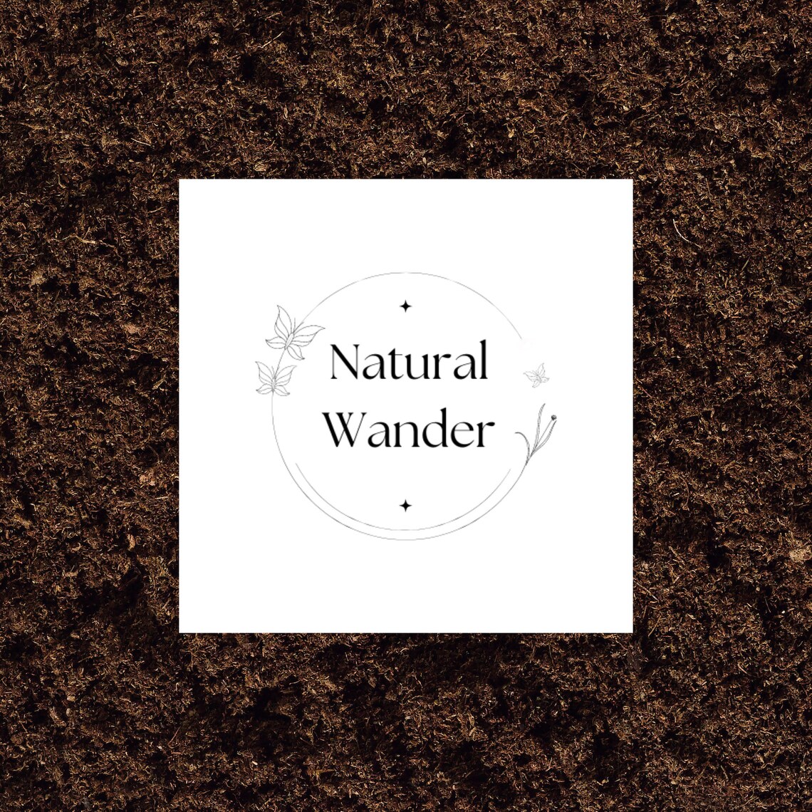 Museum Scavenger Hunt,art Museum, Learn About Art, Homeschool Artlesson ...