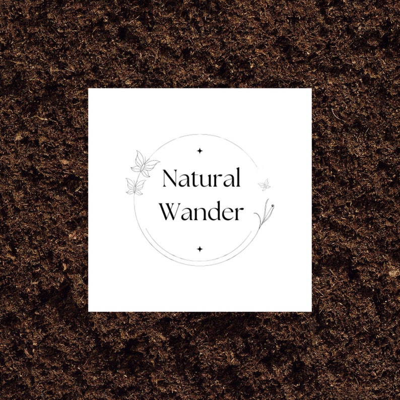 Museum Scavenger Hunt,art Museum, Learn About Art, Homeschool Artlesson ...