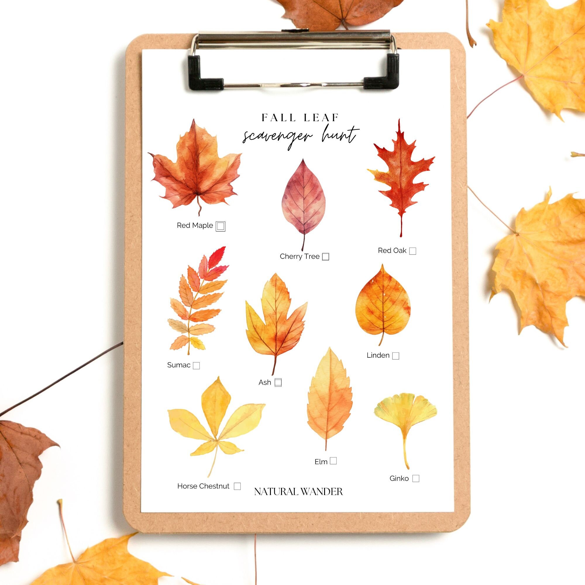 Fall Leaf, Printable, Instant Download, Scavenger Hunt, Homeschool ...