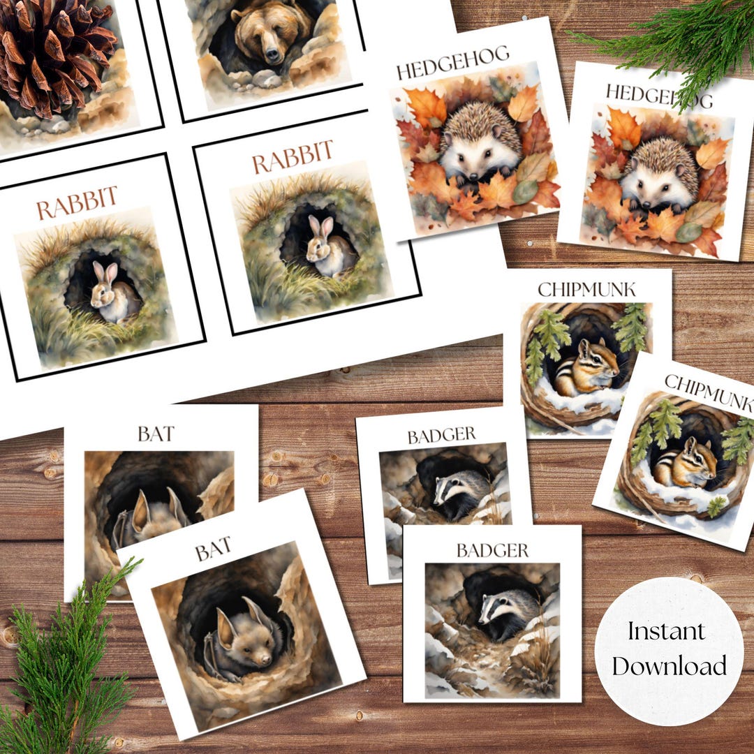 Winter Animal Matching Game for Ages 6-8, Hibernation Study - Etsy