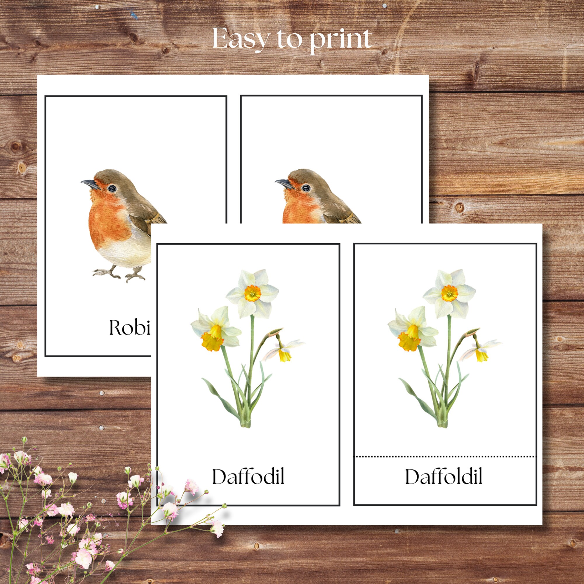 Large Spring Montessori Nomenclature Cards, 3-part Cards, Word and ...