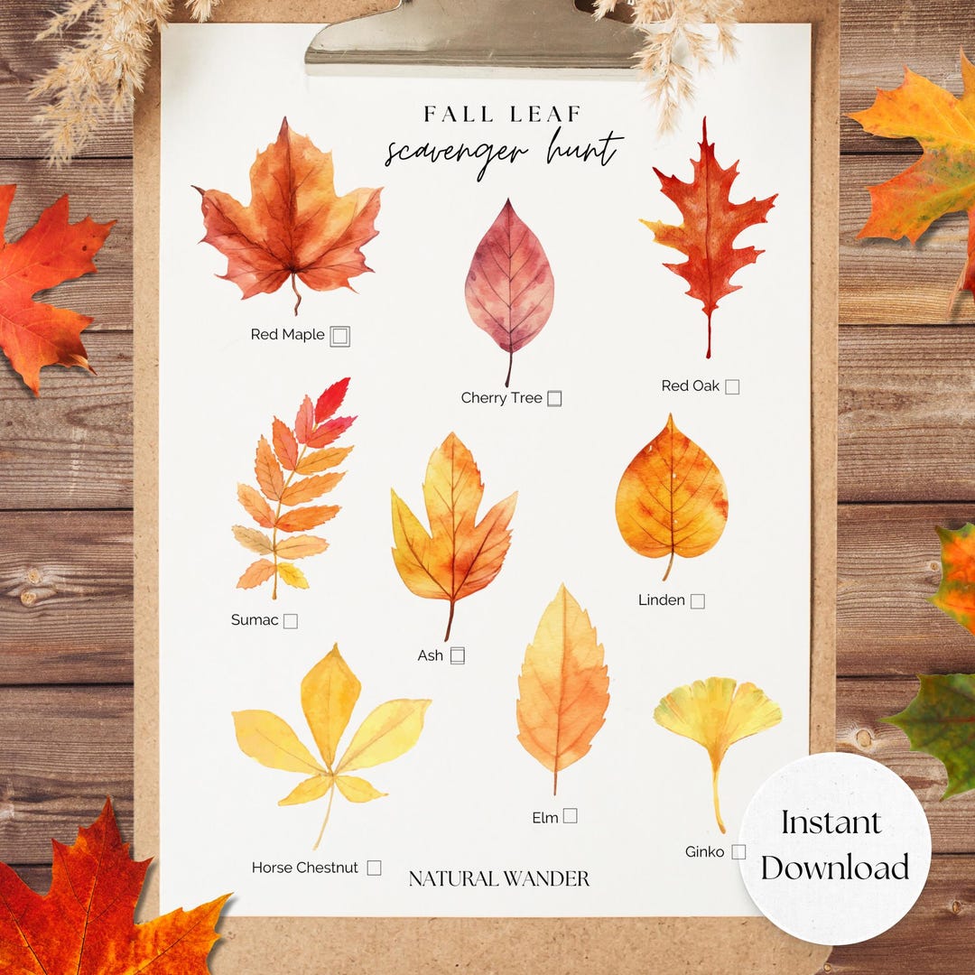 Fall Leaf, Printable, Instant Download, Scavenger Hunt, Homeschool ...