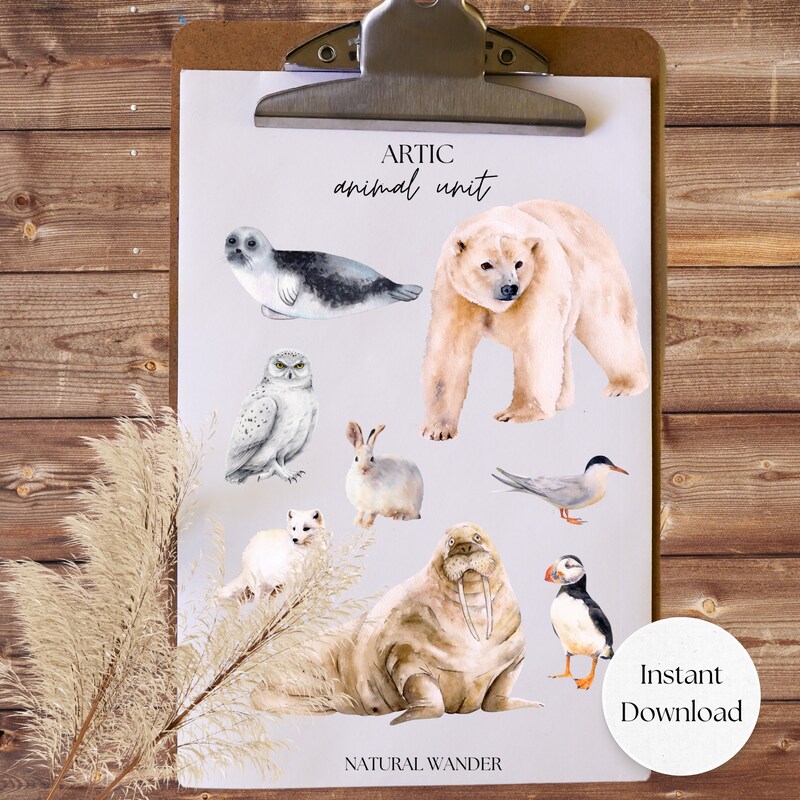 NaturalWanderStudio - Etsy