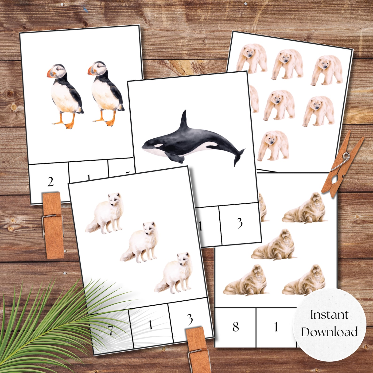 Artic Animal Counting Cards, 10 Printable, Instant Download, Math Game ...