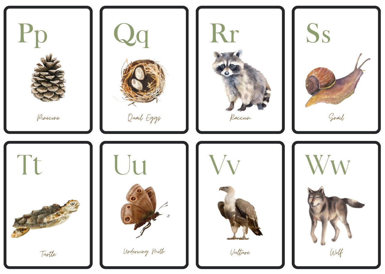 Alphabet Cards, Printable Instant Download, Abcs for Kids, Watercolor ...