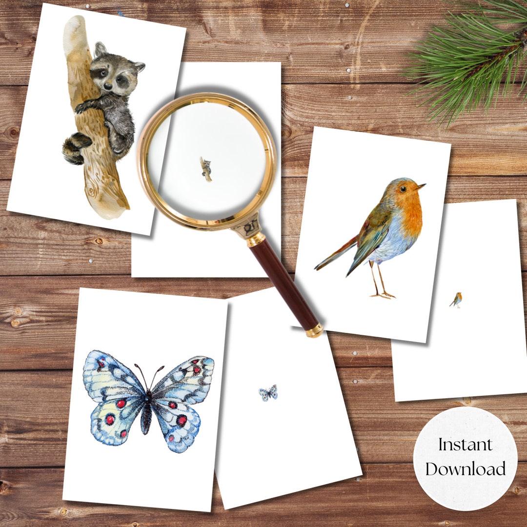 Woodland Animal Magnifying Match Activity, Montessori Activity, Hands ...