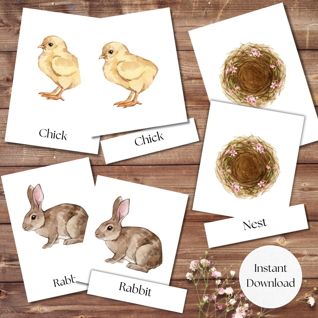 Large Spring Montessori Nomenclature Cards, 3-part Cards, Word and ...