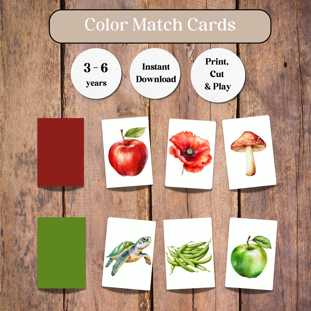 Color Match Activity, 30 Cards, 10 Colors, Montessori Activity, Hands ...