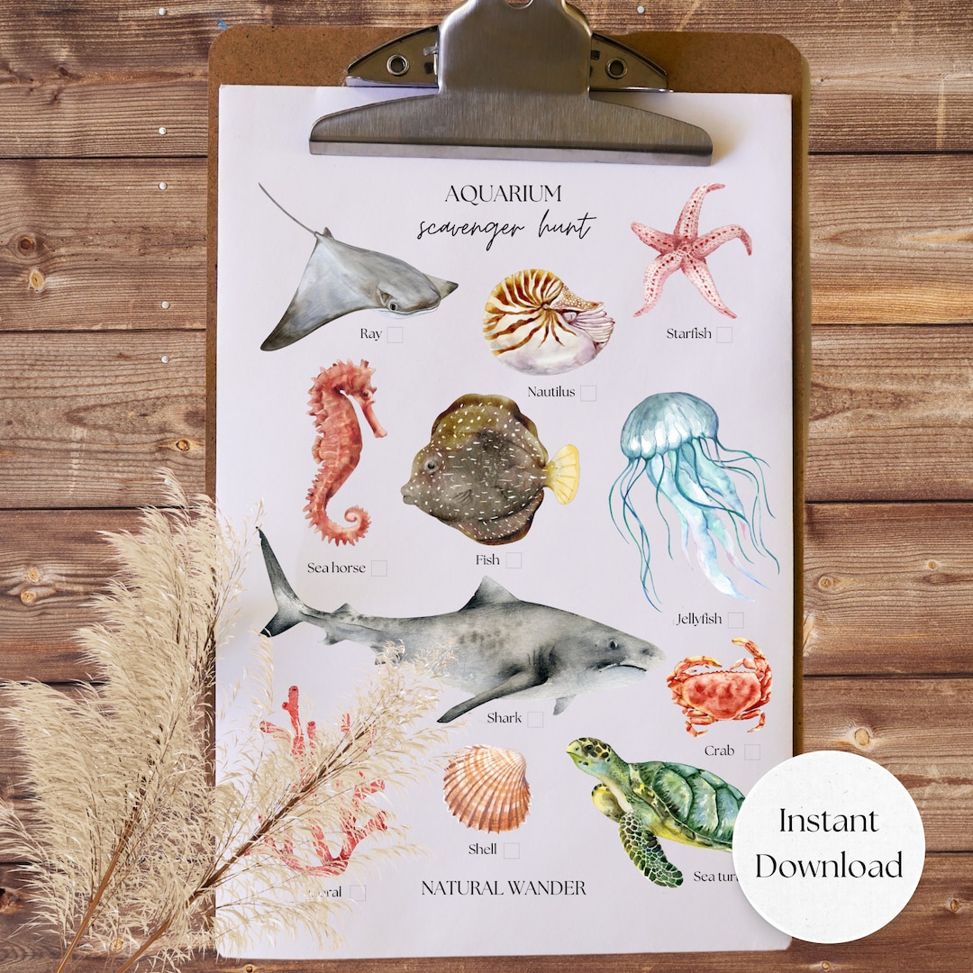 Aquarium Scavenger Hunt for Field Trip - Etsy