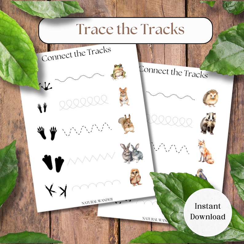 Woodland Animal Trace the Tracks, Woodland Animals, Montessori Game ...