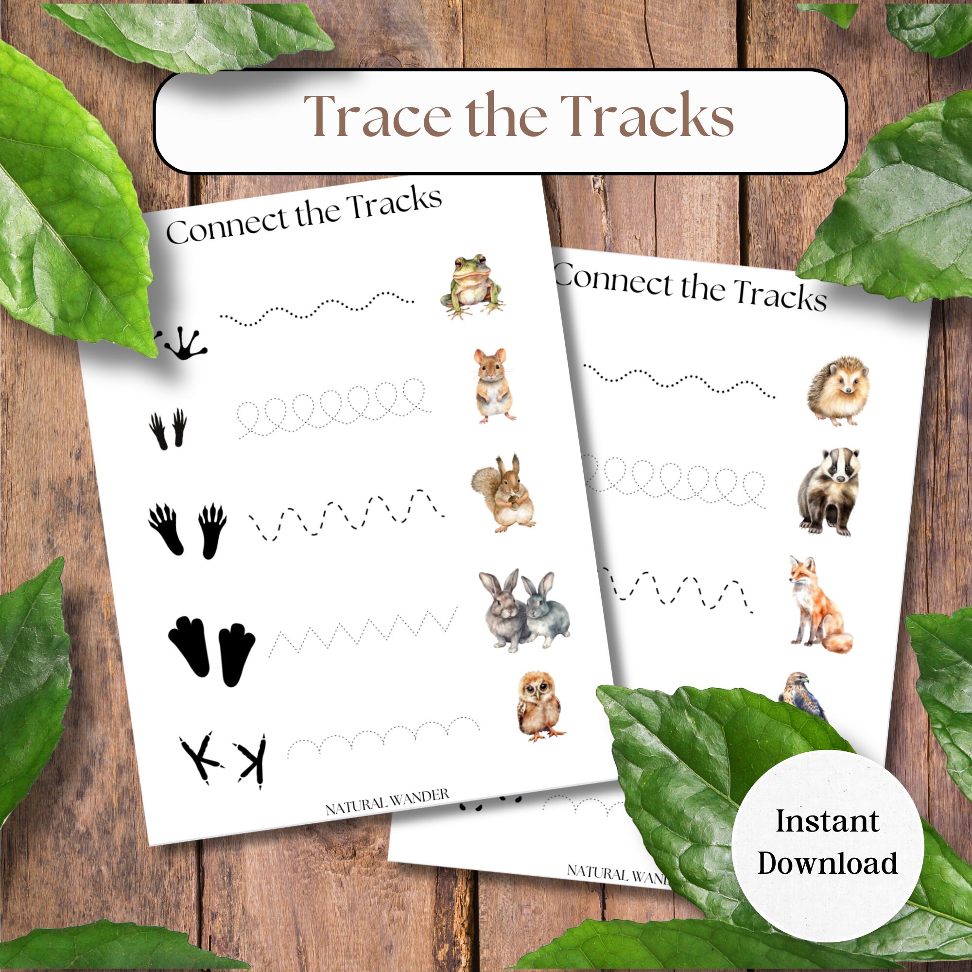 Woodland Animal Trace the Tracks, Woodland Animals, Montessori Game ...