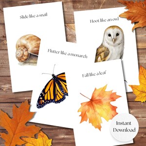 Autumn Movement Cards, 20 Printable, Instant Download, Fall Game ...