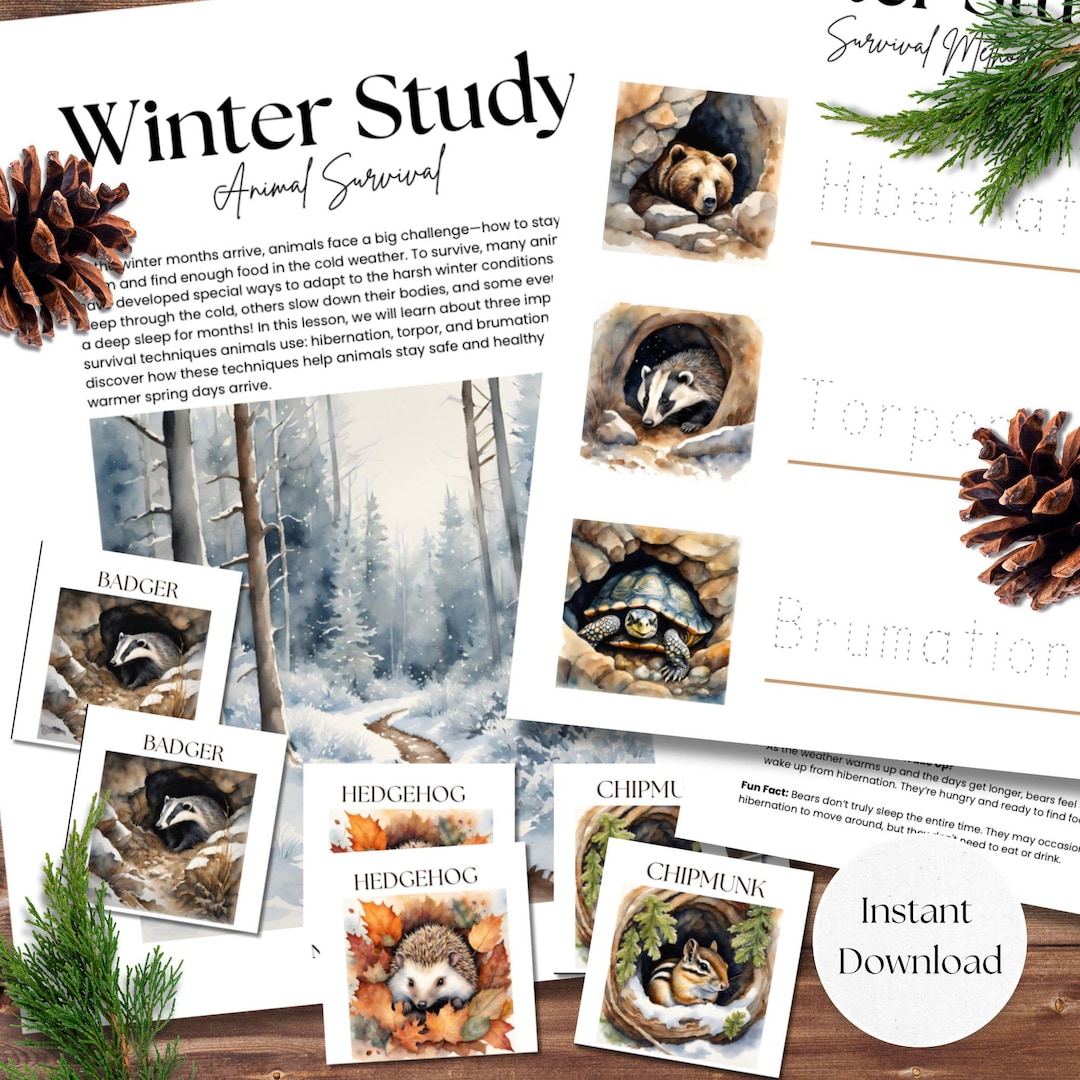 Winter Study Unit: 20-pages of Activities for Ages 6-8, Hibernation ...