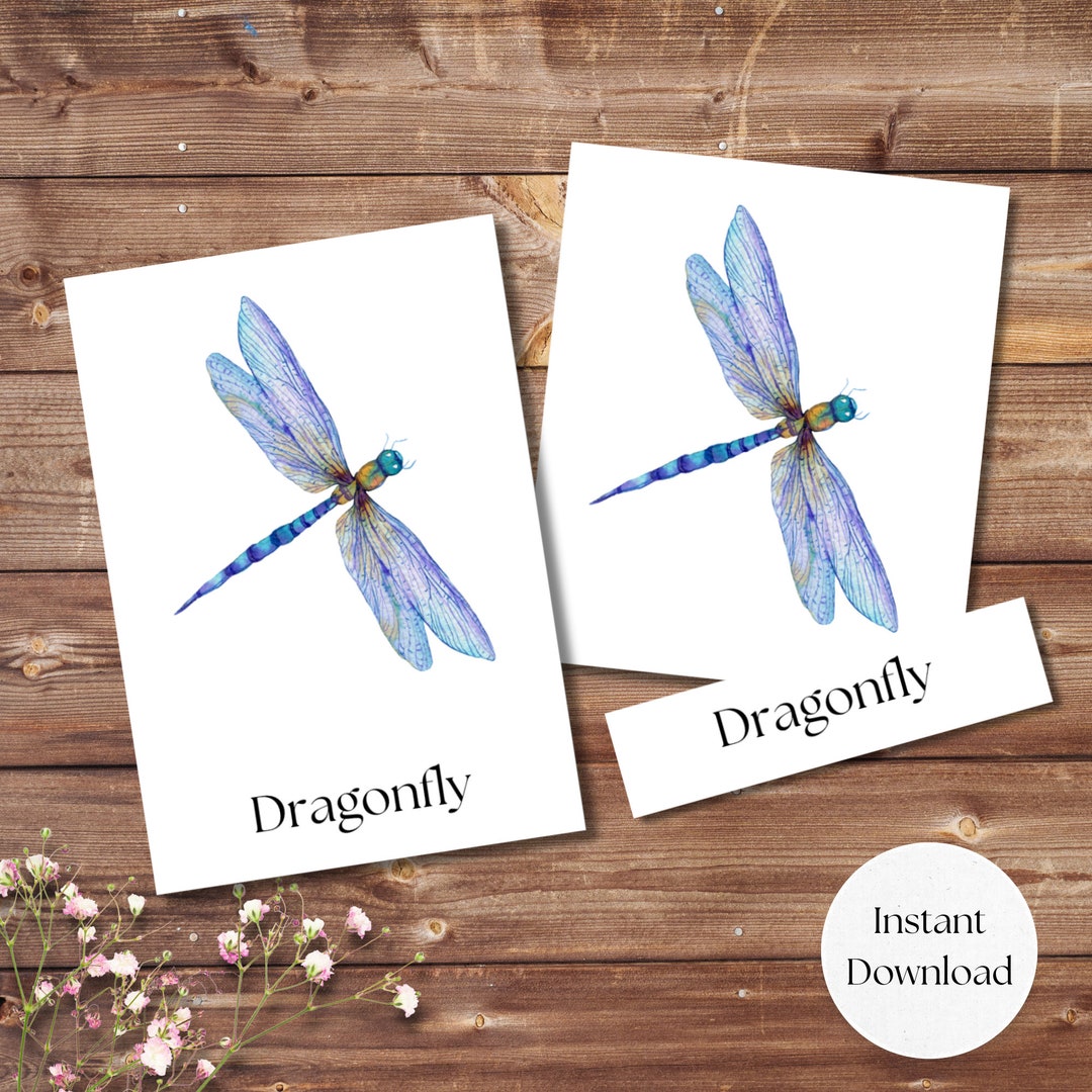 Spring Montessori Nomenclature Cards, 3-part Cards, Word and Image ...