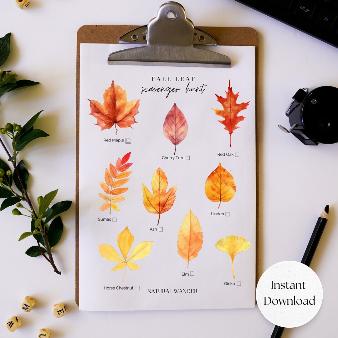 Fall Leaf, Printable, Instant Download, Scavenger Hunt, Homeschool ...