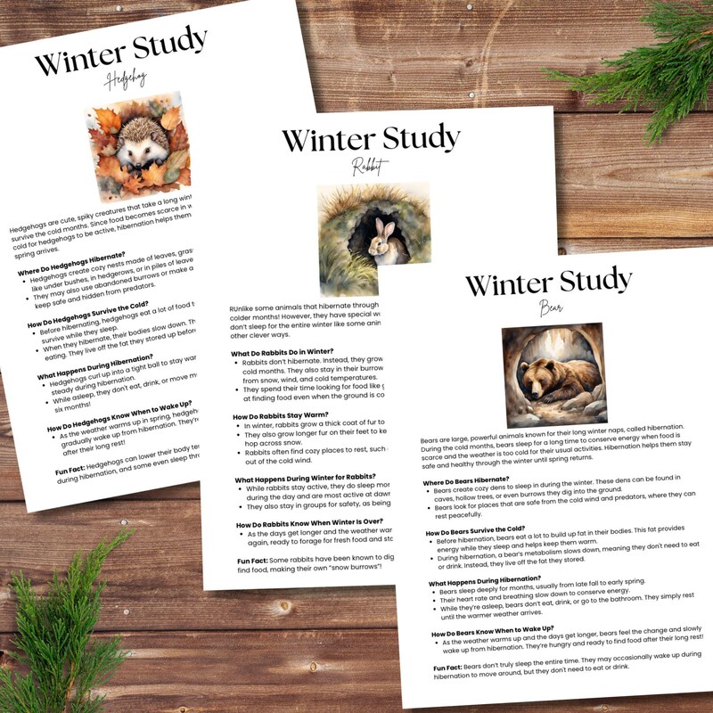 NaturalWanderStudio - Etsy