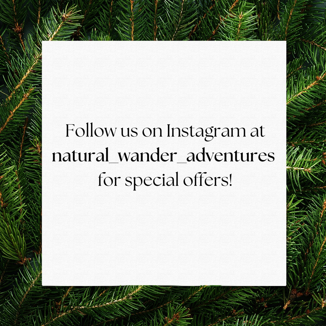 Movement Cards, 20 Printable, Instant Download, Fall Game, Nature Game ...