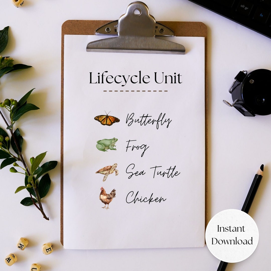 Lifecycle Unit, Instant Download Frog Lifecycle, Chicken Lifecycle, Sea ...