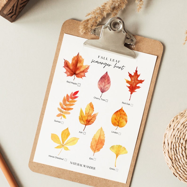 Fall Leaf Scavenger Hunt, Watercolor Printable (digital Download) - Etsy