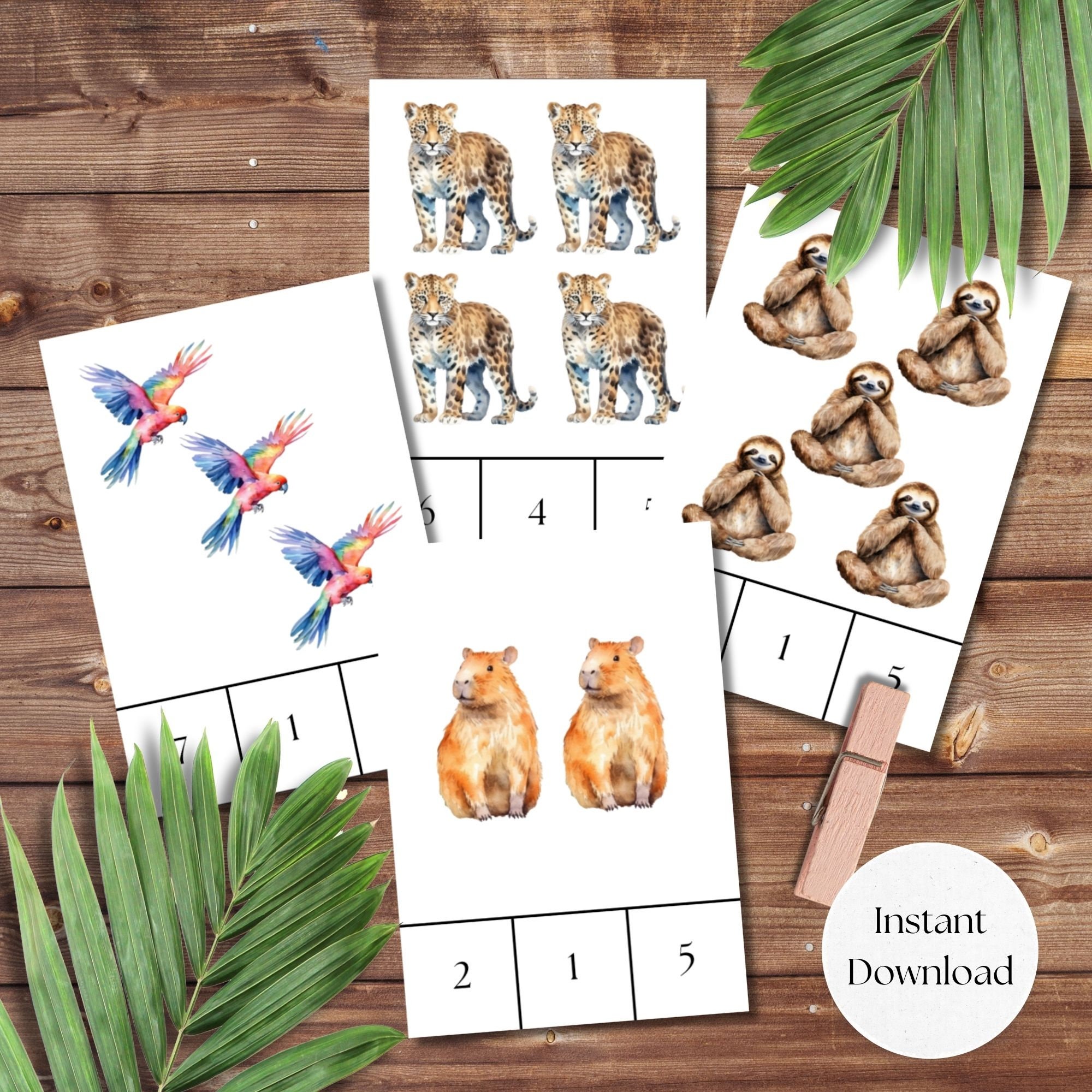 Rainforest Animal Counting Cards, 10 Printable, Instant Download, Math ...