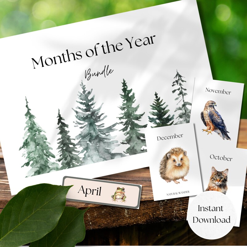 NaturalWanderStudio - Etsy