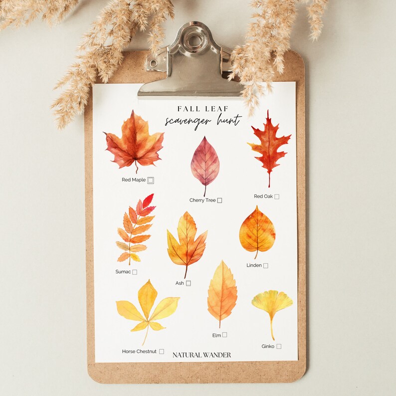 Fall Leaf Scavenger Hunt, Watercolor Printable (digital Download) - Etsy