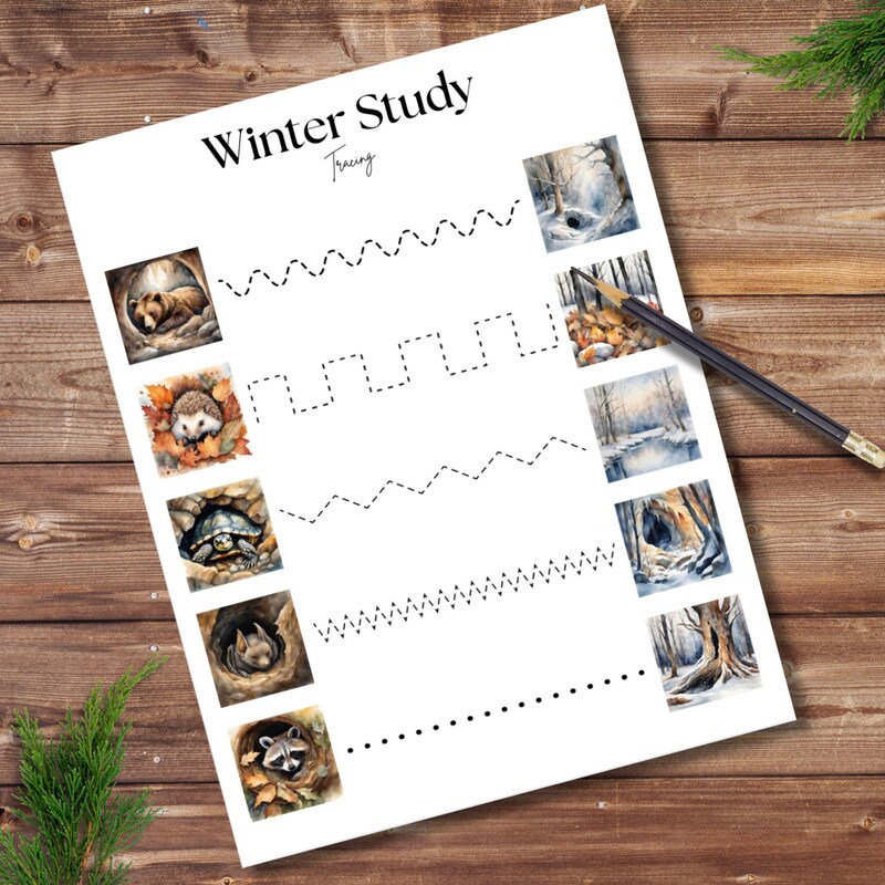 NaturalWanderStudio - Etsy