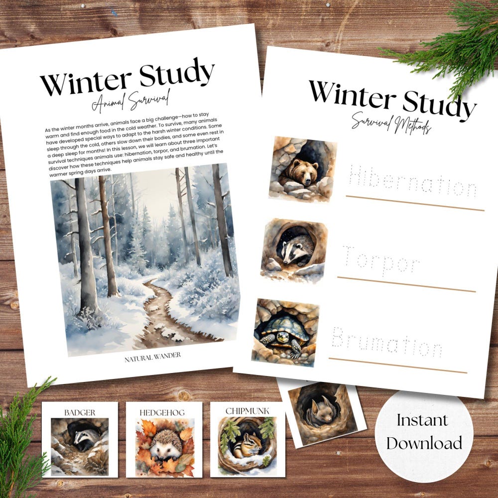 NaturalWanderStudio - Etsy