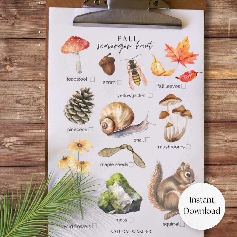 NaturalWanderStudio - Etsy