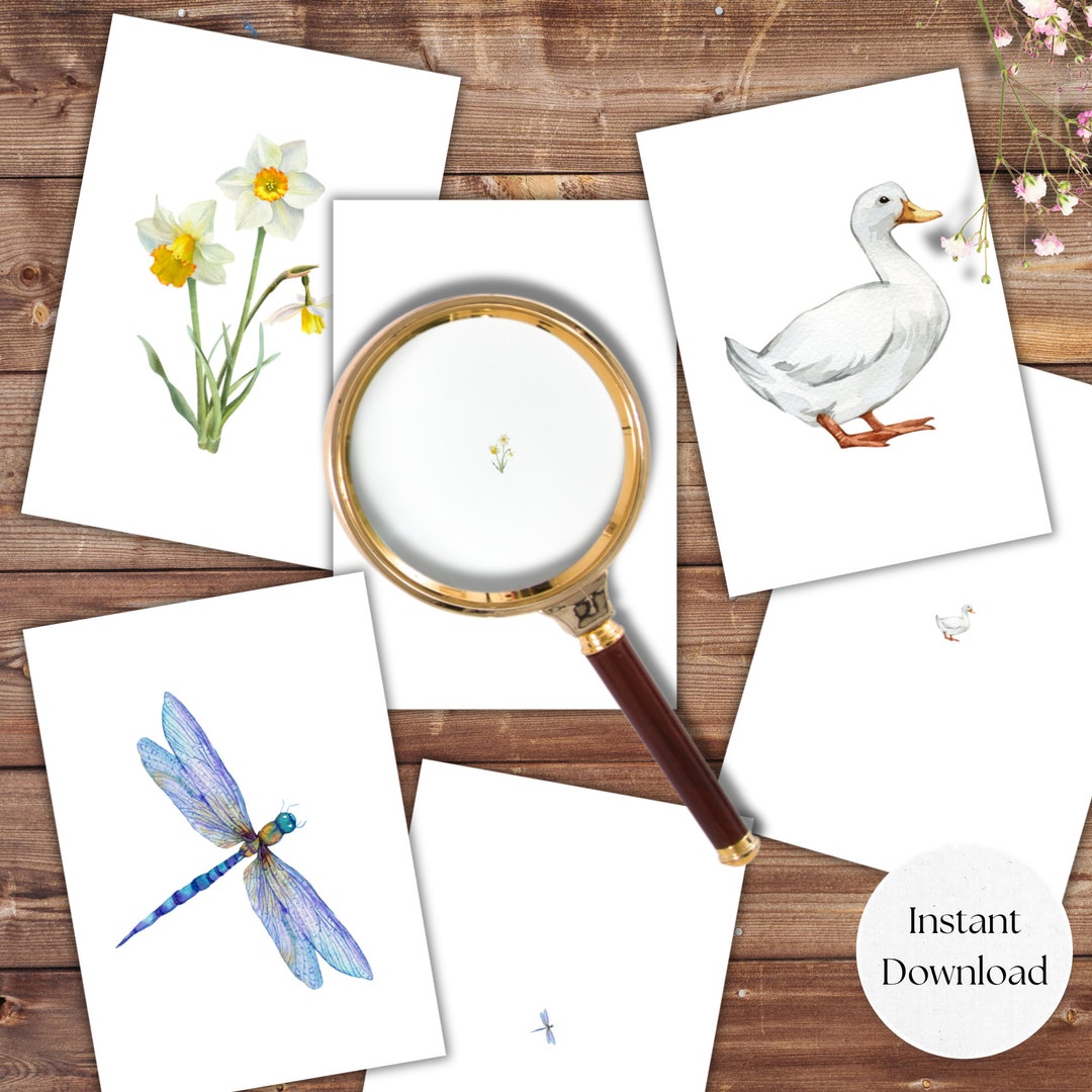 Spring Animal Magnifying Match Activity, 20 Cards, Montessori Activity ...