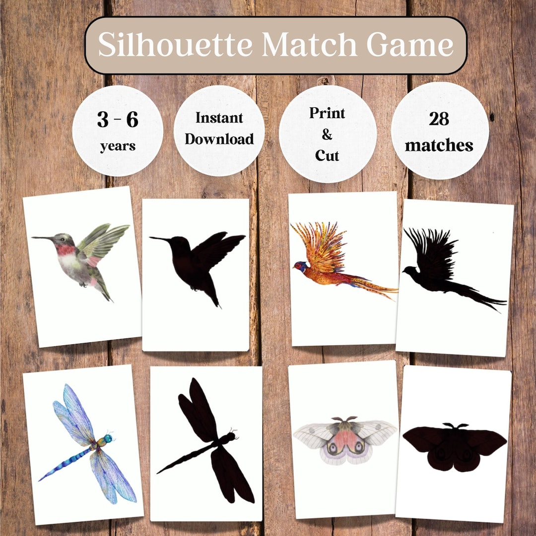 Silhouette Match Activity Unit, Instant Download, Summer Homeschool ...