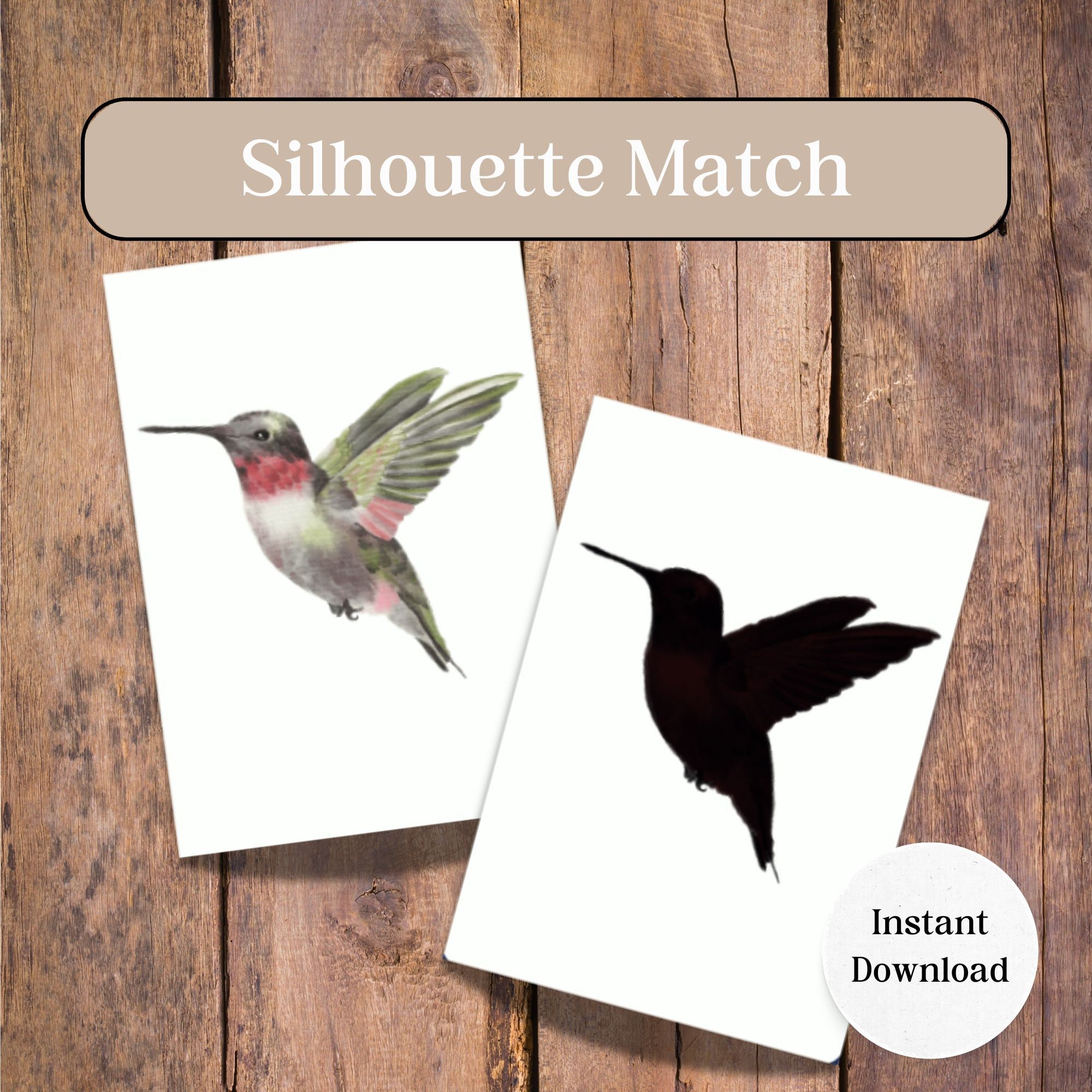 Silhouette Match Activity Unit, Instant Download, Summer Homeschool ...