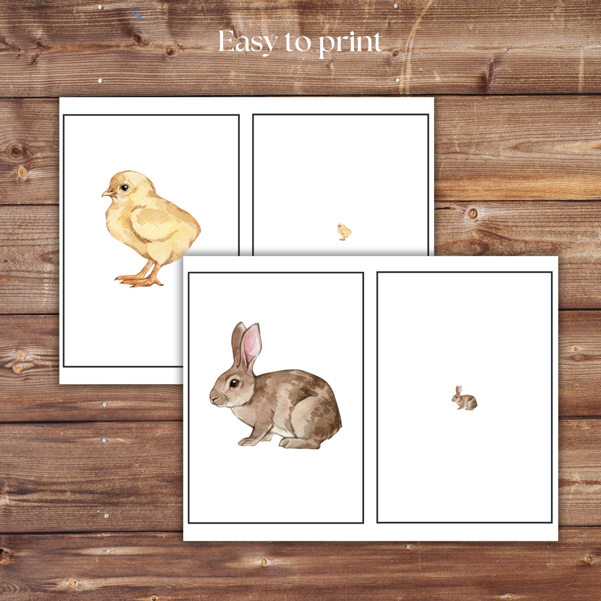 Spring Animal Magnifying Match Activity, 20 Cards, Montessori Activity ...