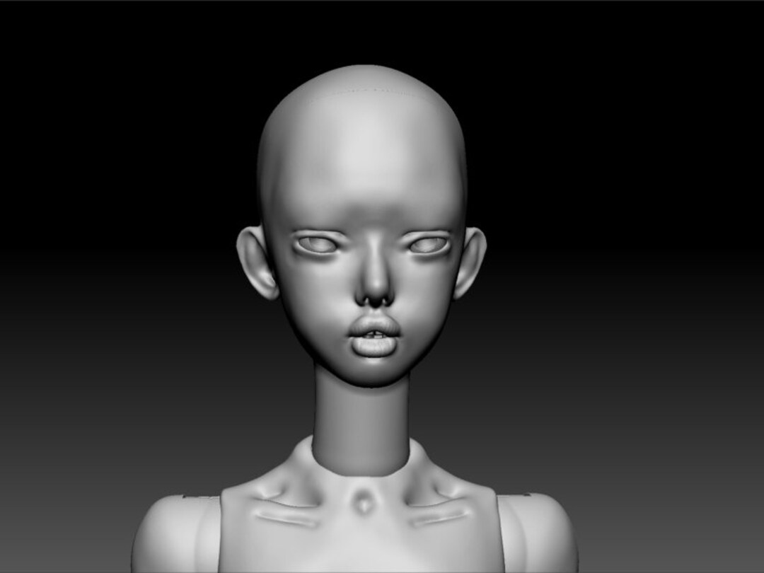 BJD Head 8 for Bjd Rose 3d Stl for Print Girl Female - Etsy