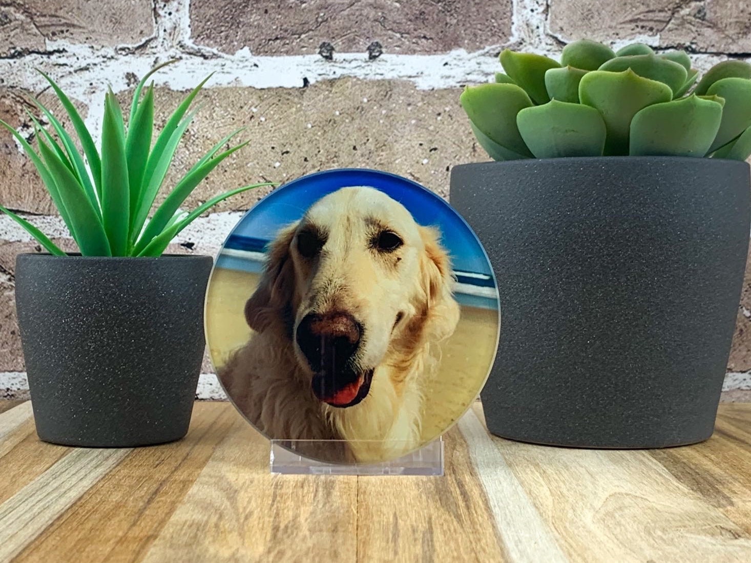 Custom Glass Photo or Logo Coasters | Personalized Round Coasters ...