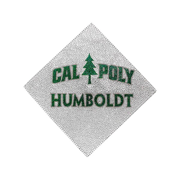 Graduation Cap Topper College Logo - Etsy